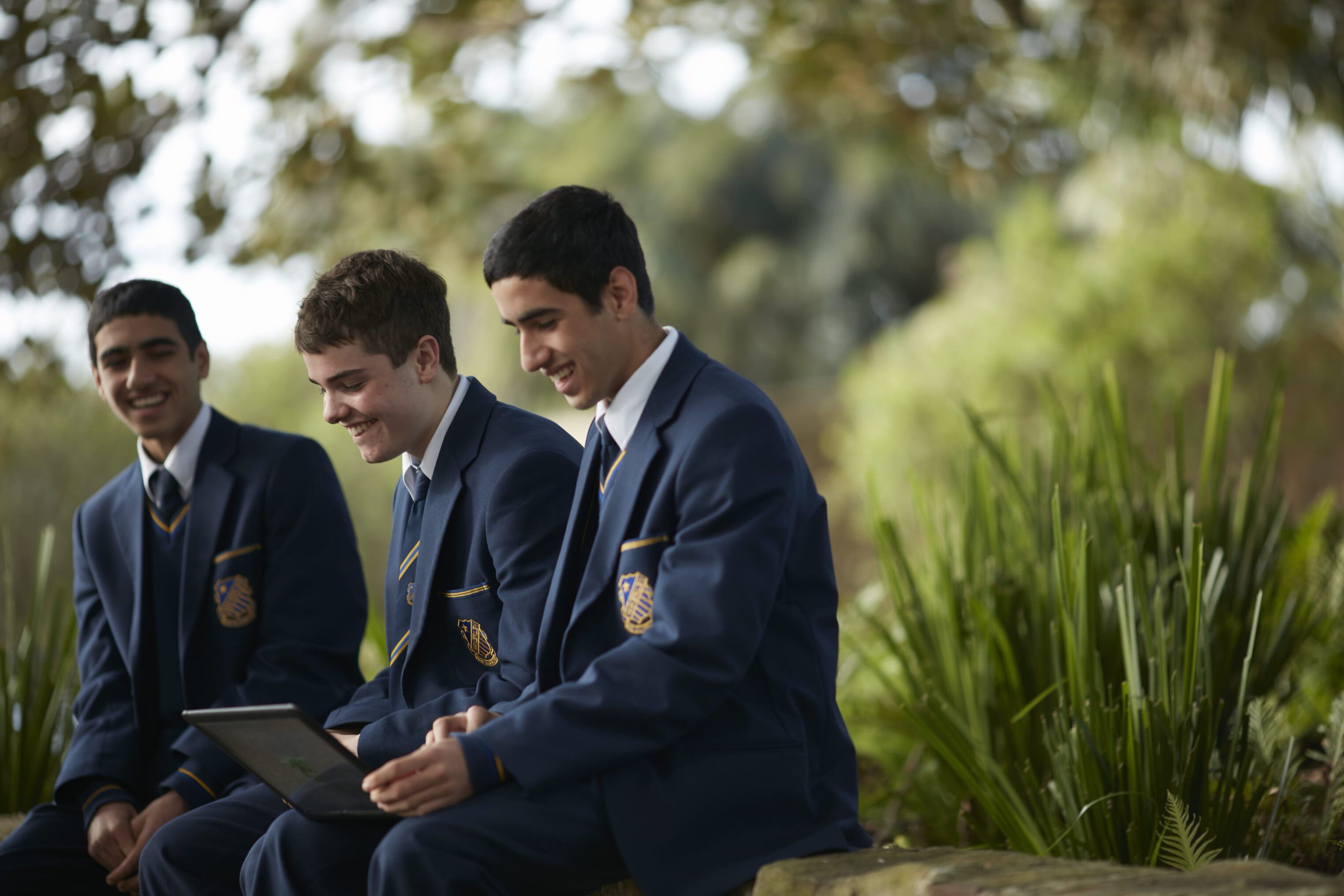 Scholarships and Bursaries - Waverley College