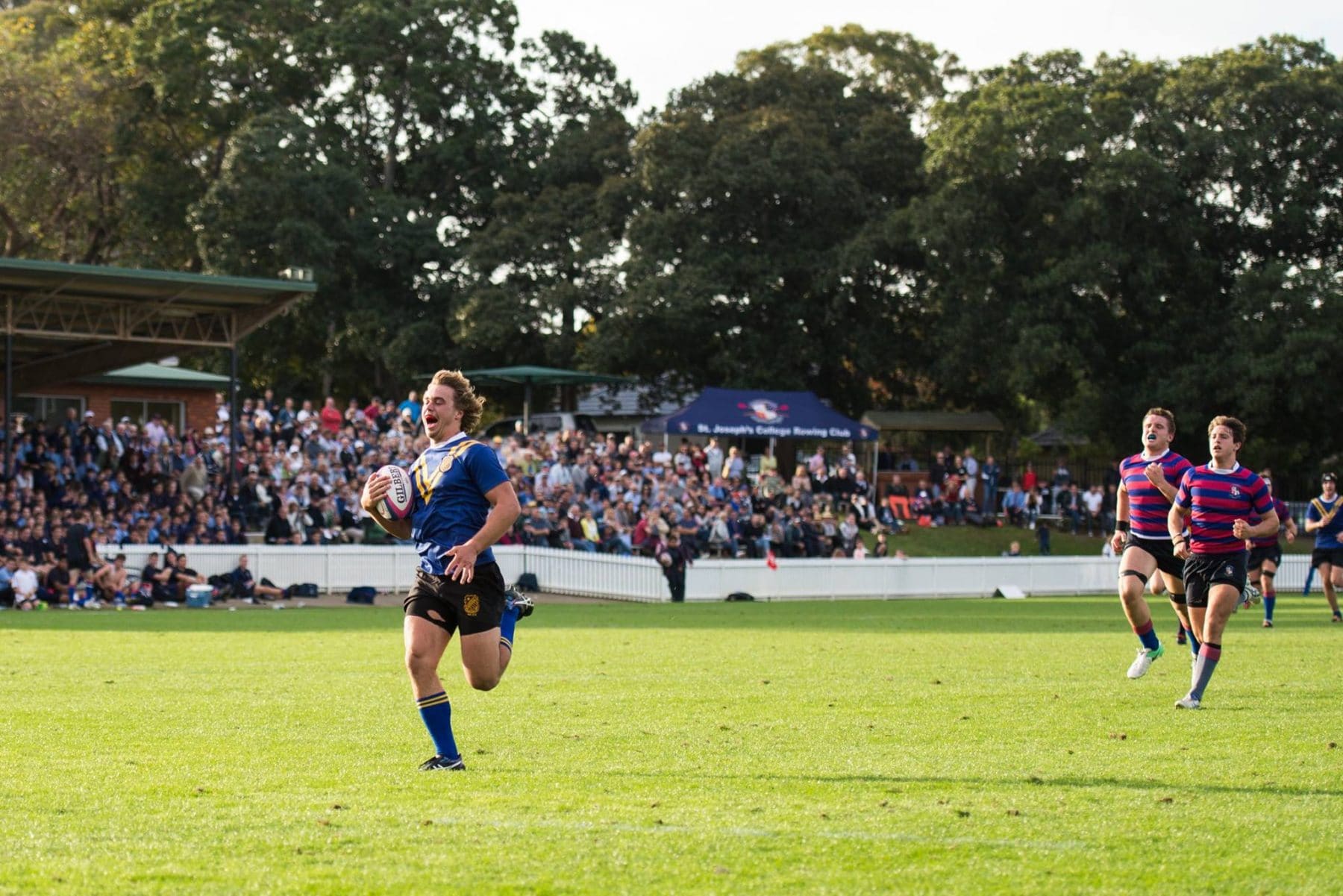 Rugby Report: A win against Joeys for the 1sts - Waverley College