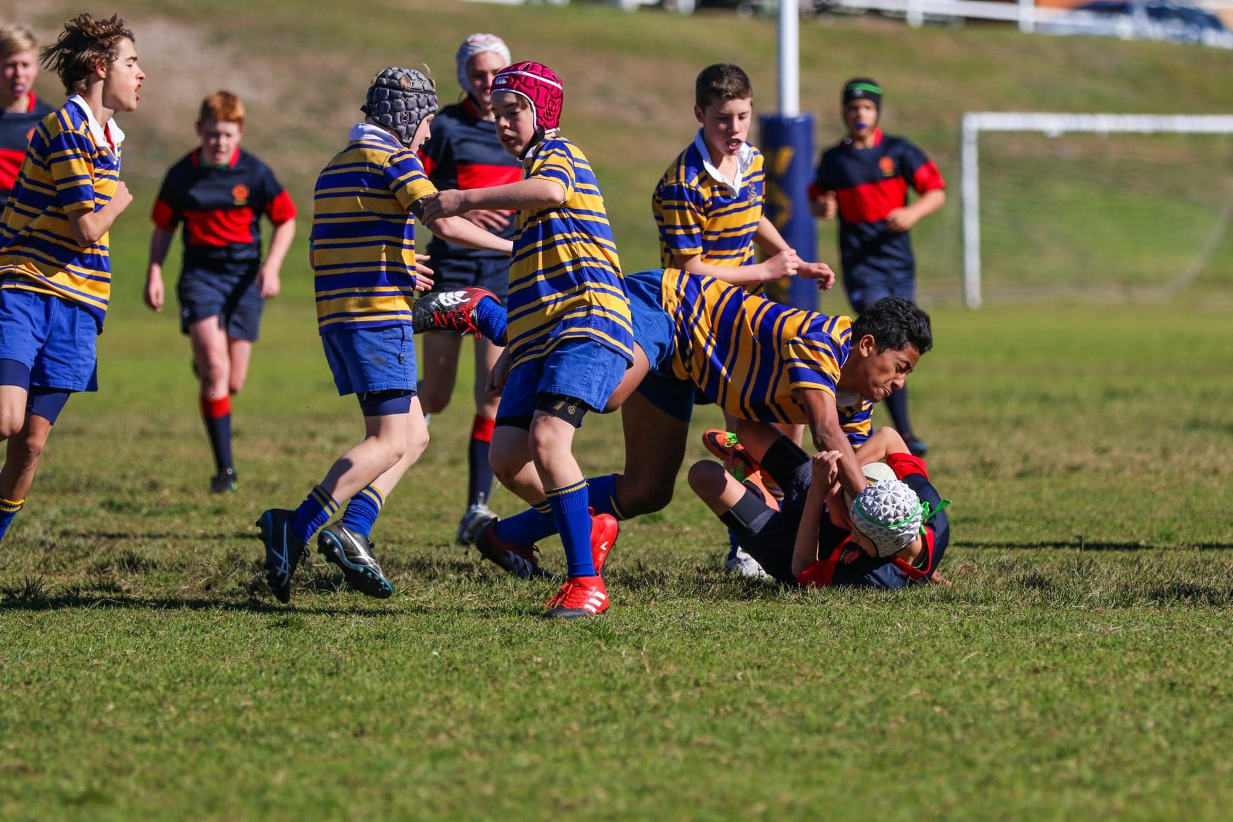 Rugby Report: The Barker Round - Waverley College