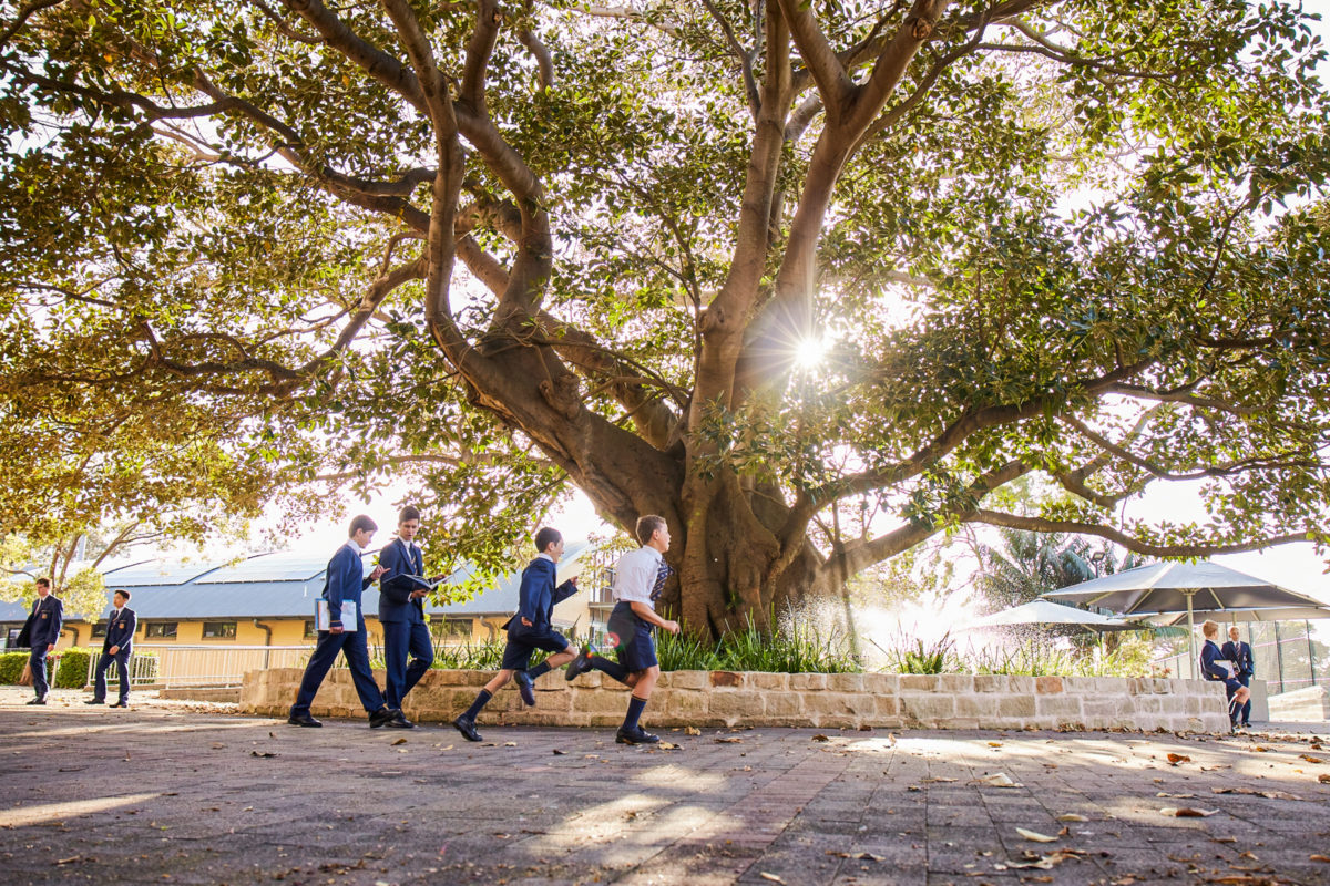 Orientation - Waverley College