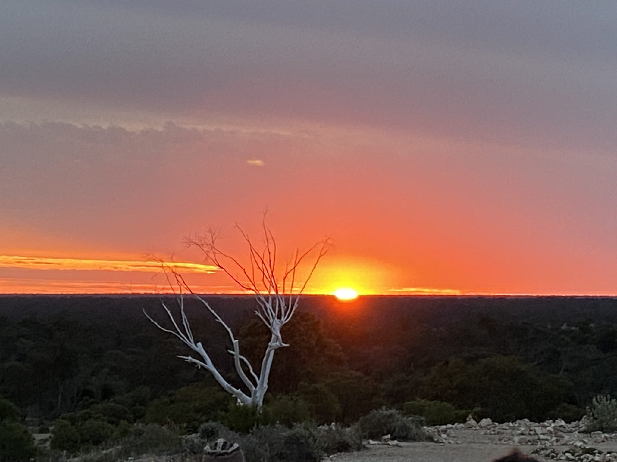 'Let’s Talk’ EREA Aboriginal Immersion - Waverley College