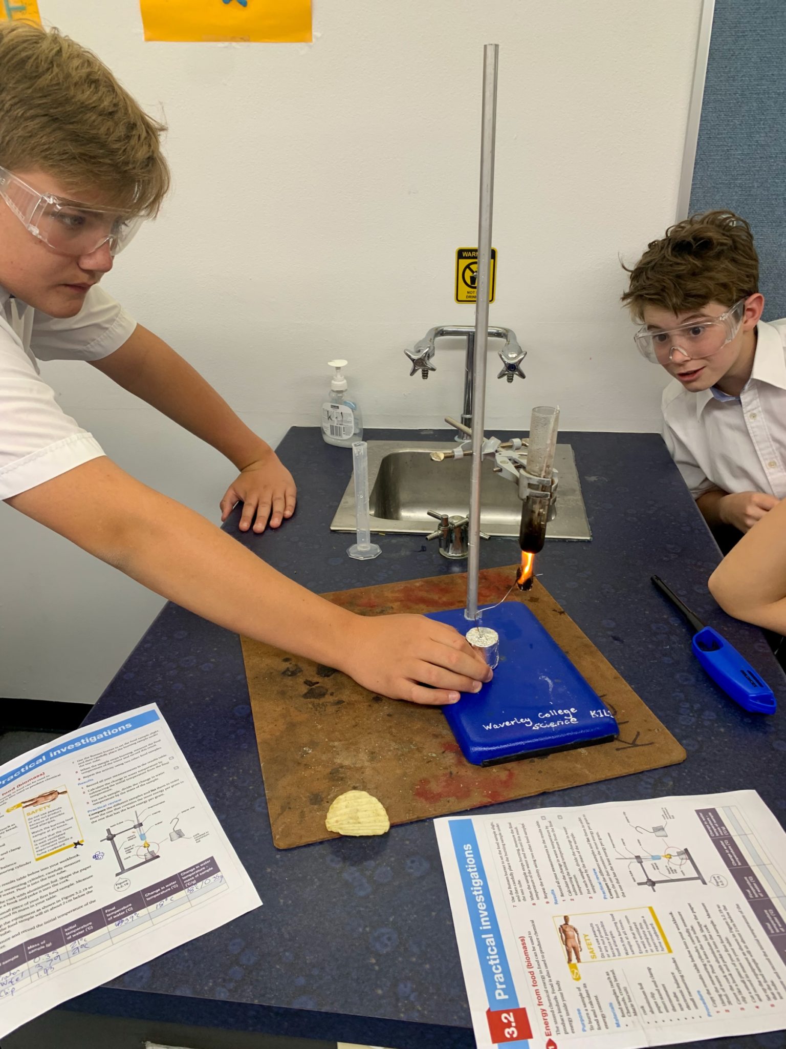The Power of Curiosity in 7.1 Science - Waverley College