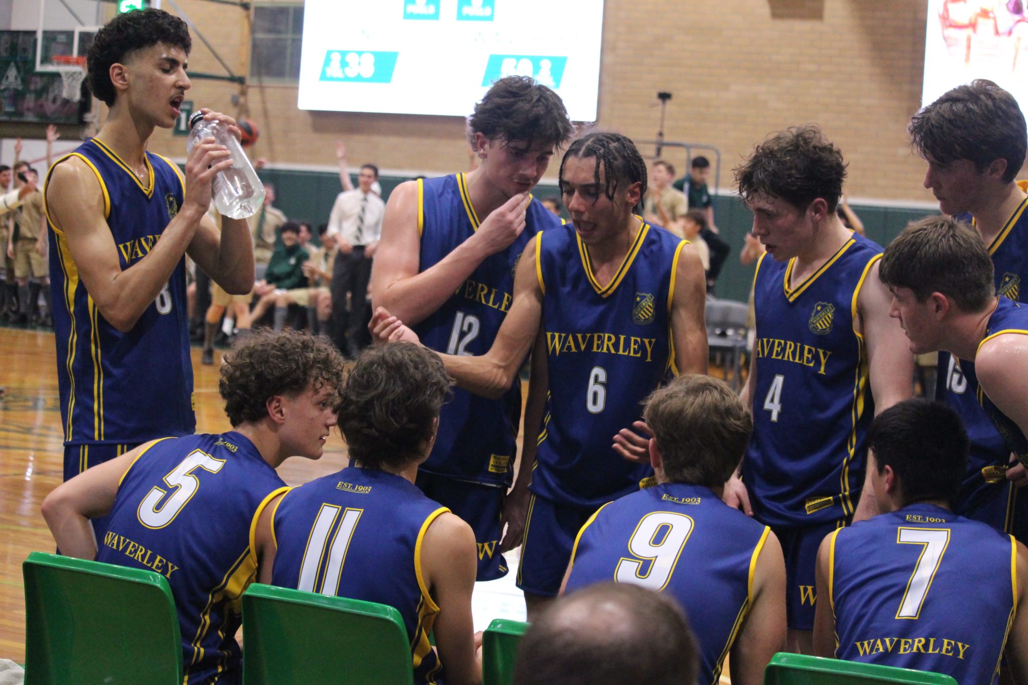 Round 4 Basketball Report - Waverley College