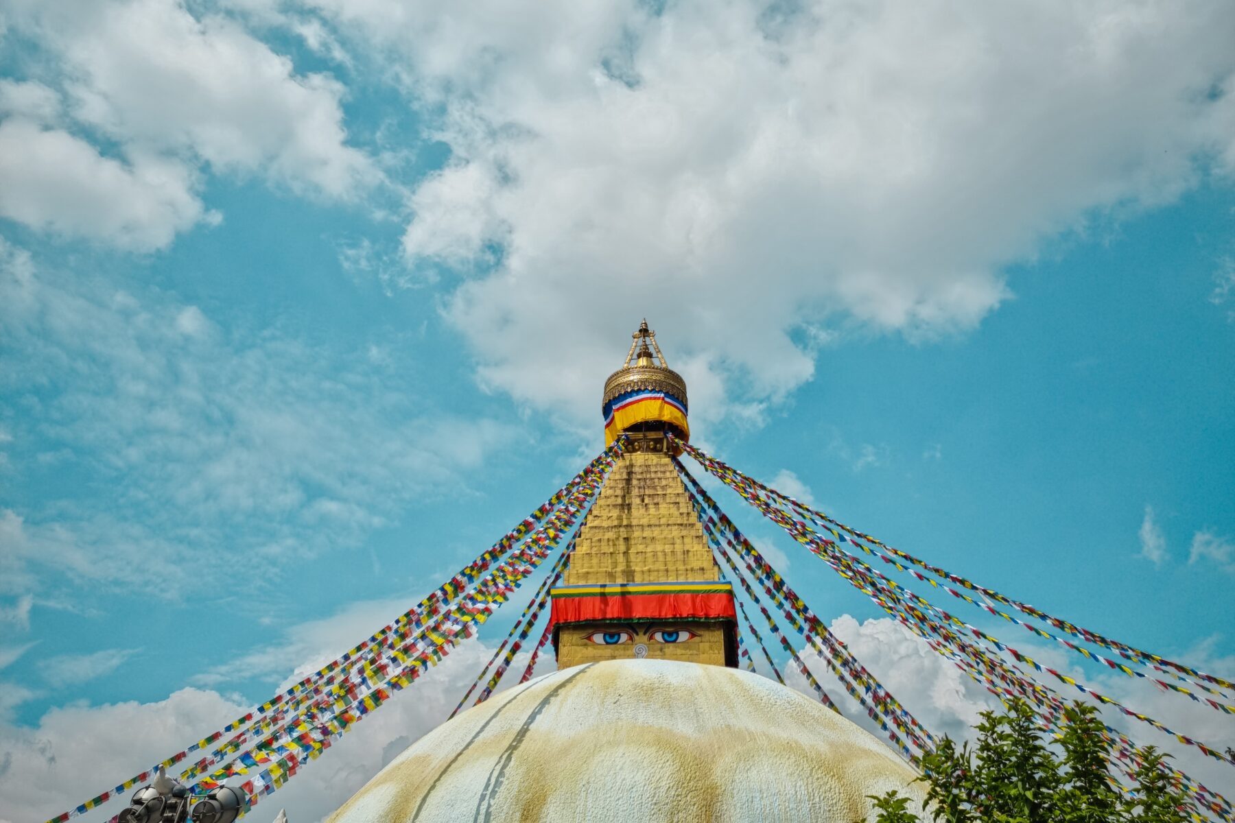 From the Deputy Principal - Teaching & Learning, Ms Elizabeth Watson ...