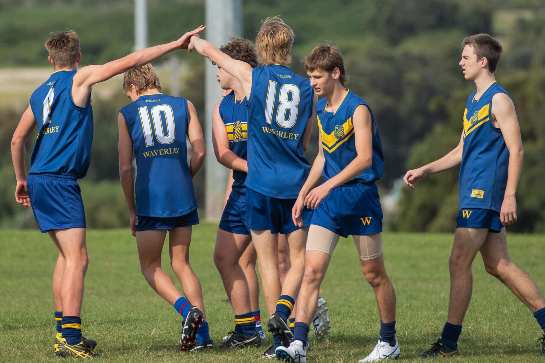 AFL Pre-Season Update - Waverley College
