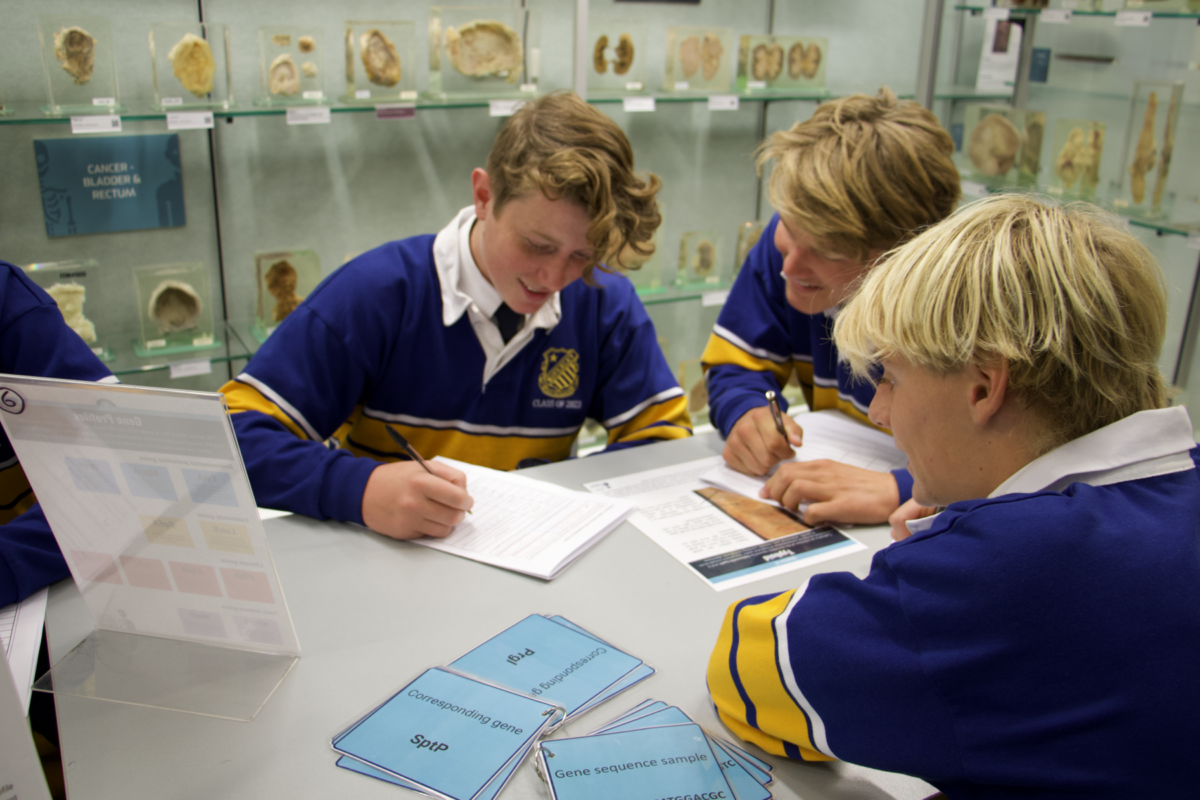 Genetics, Heredity and Disease - Year 12 Biology Visit the UNSW Museum ...