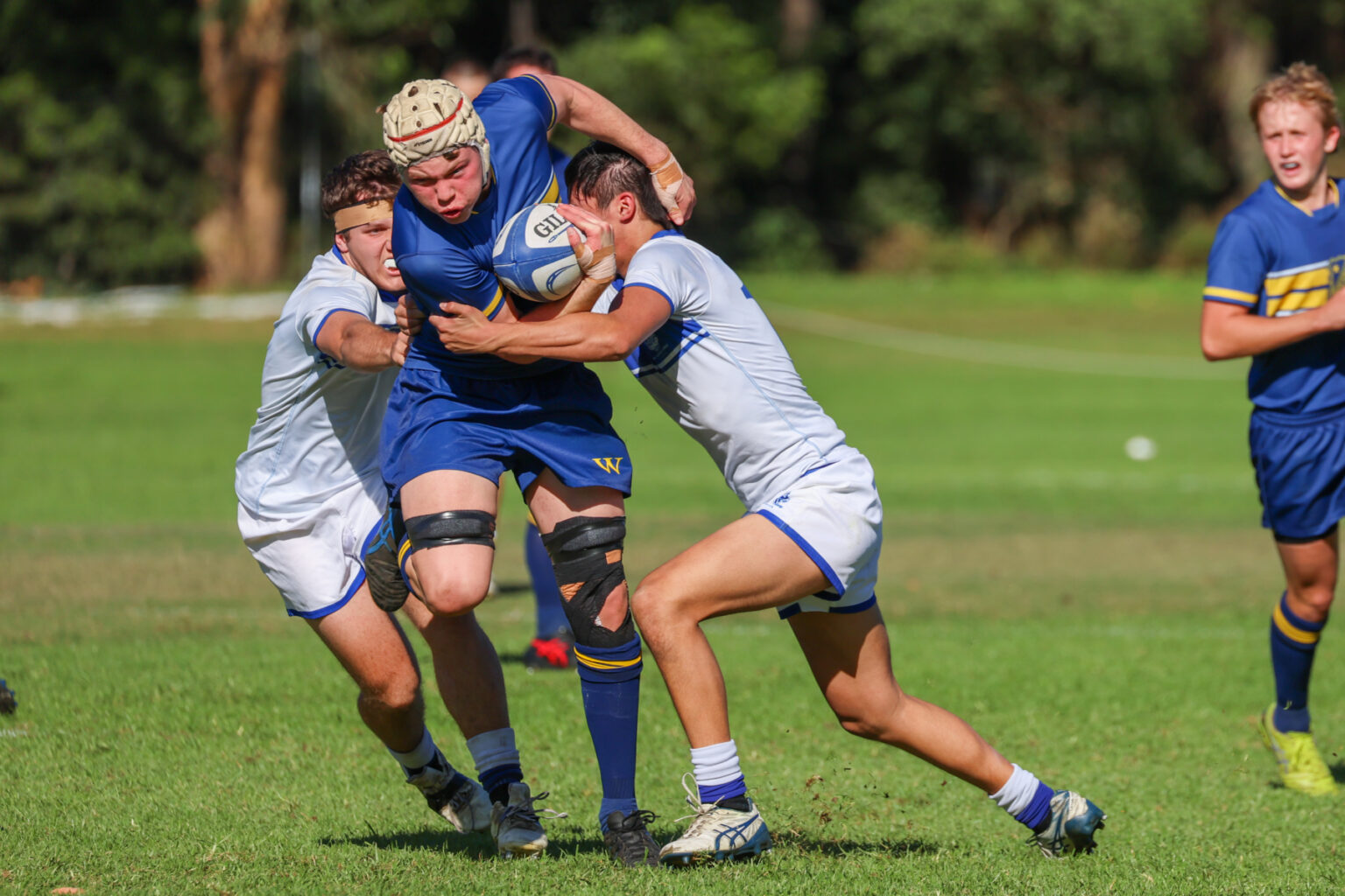 Rugby Report - Waverley College