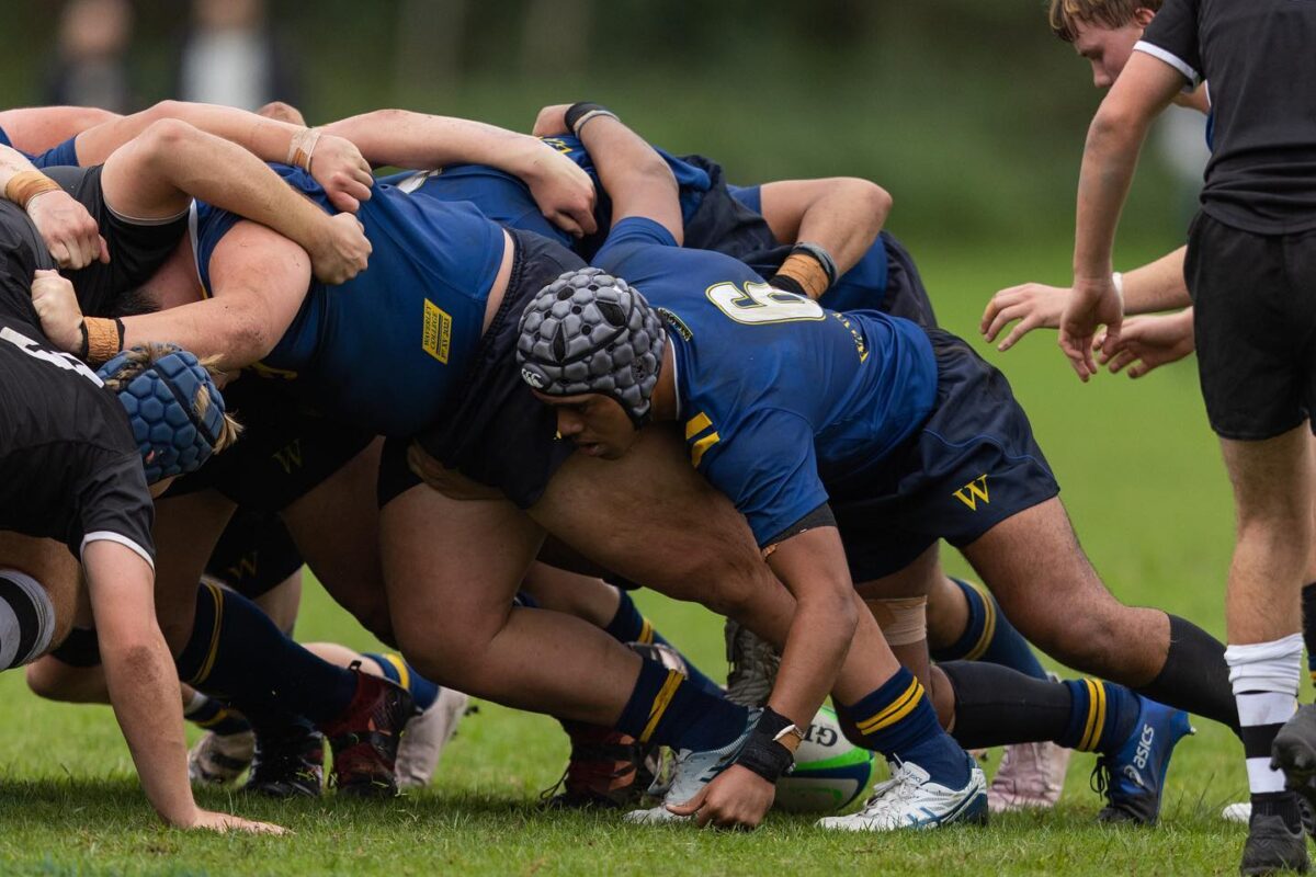 Call for Corporate Rugby Sponsor - Waverley College