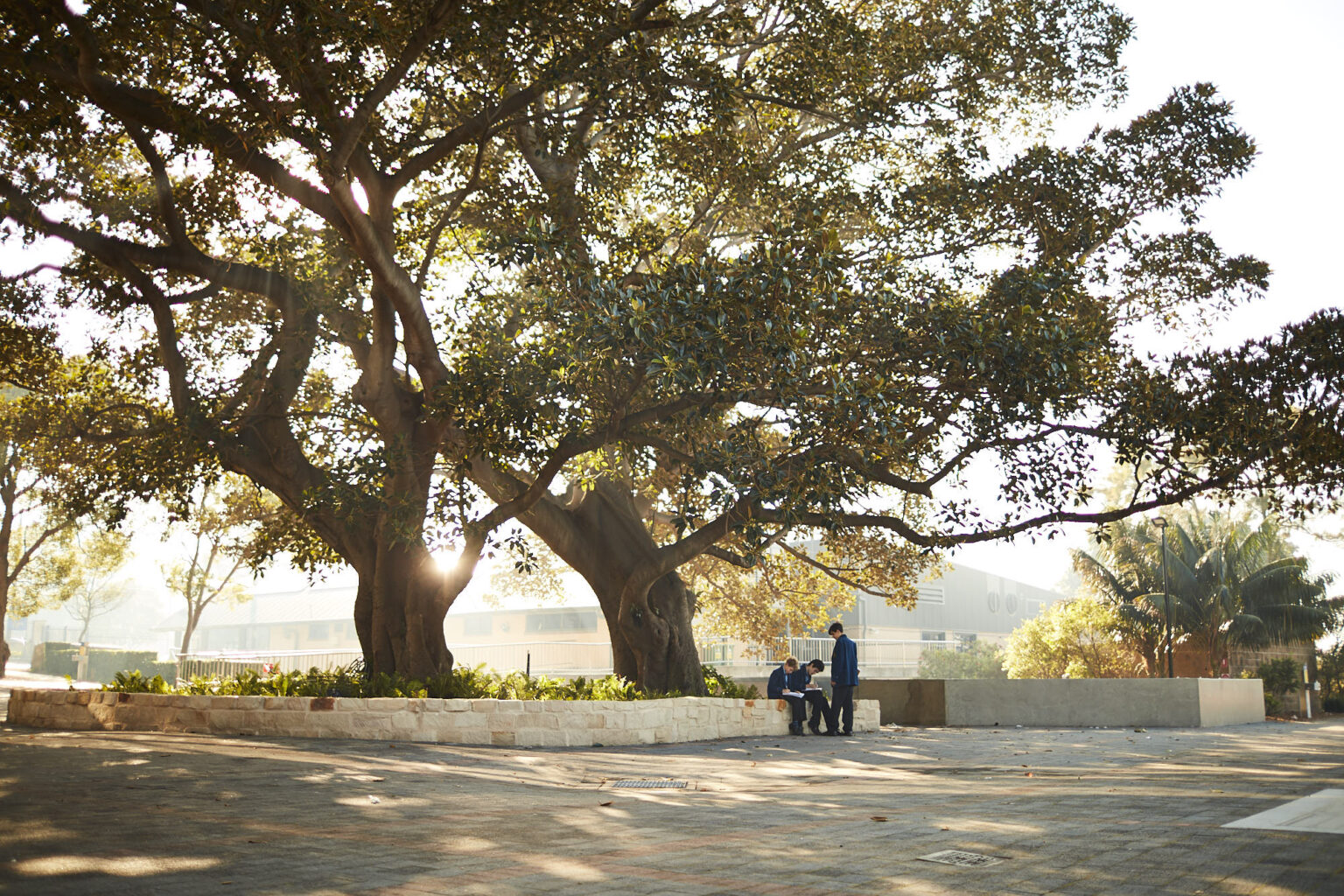 Key Dates, Term 3, Week 7 and Beyond - Waverley College